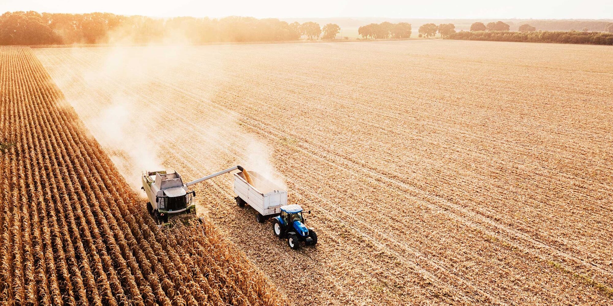 Rohstoffe: einen positiven Diversifikationseffekt durch verschiedene ...