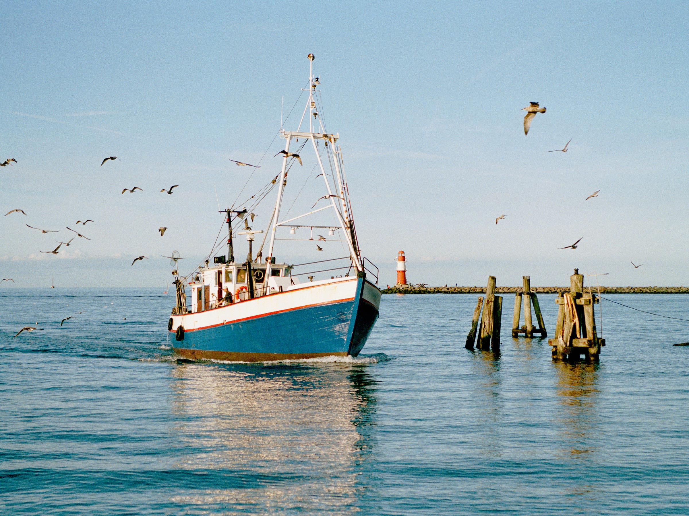 Abkommen über Schutz von Biodiversität auf hoher See