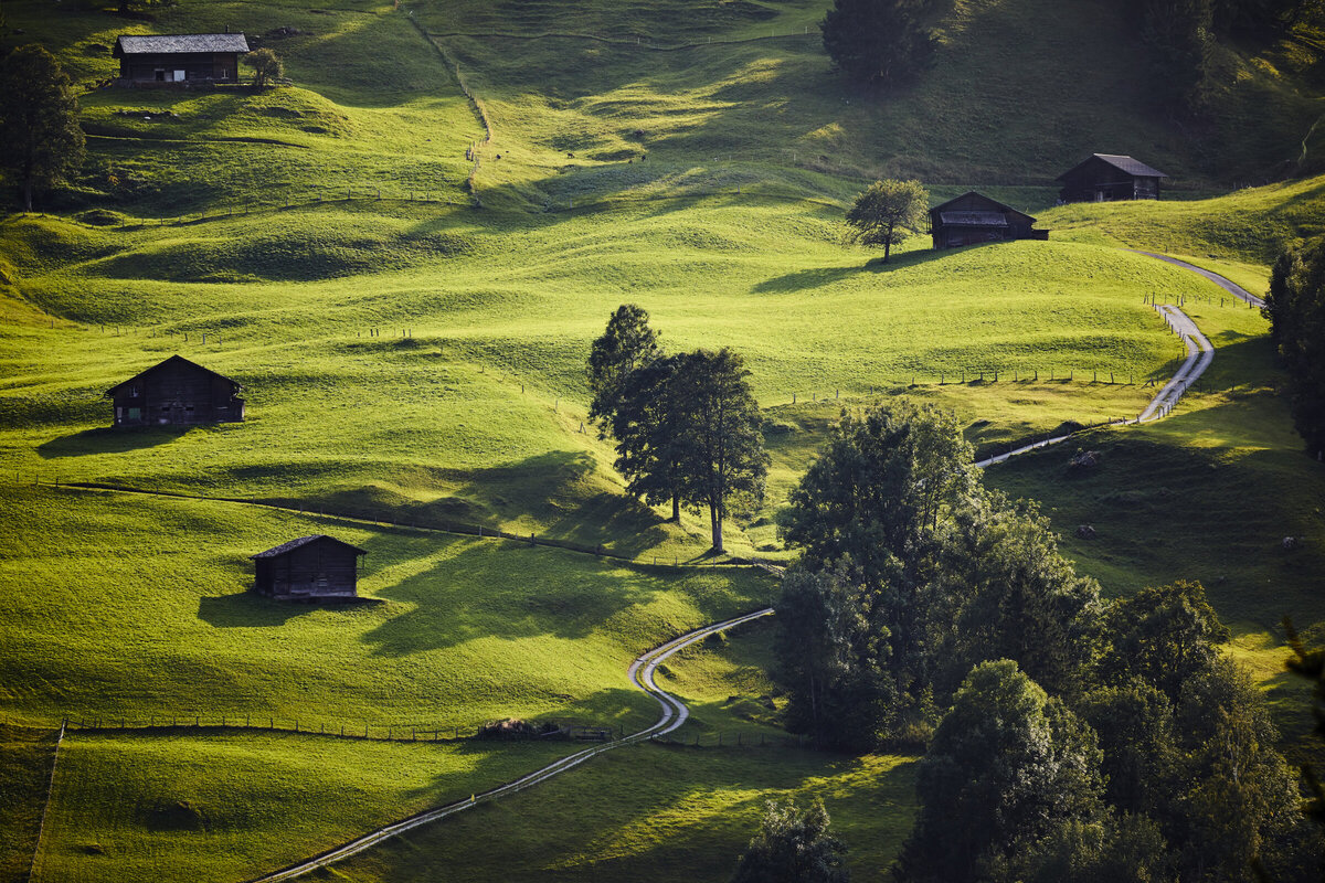The growth of green bonds continues