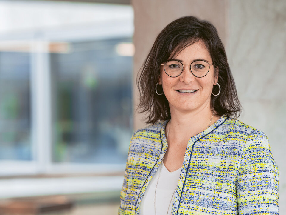 Unverteilte Erbschaft korrekt für die Steuern deklarieren