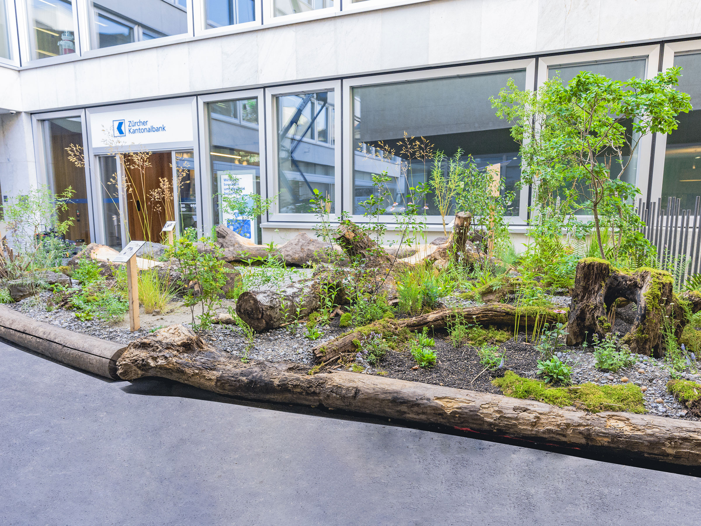 Biodiversität: Was man dafür tun kann